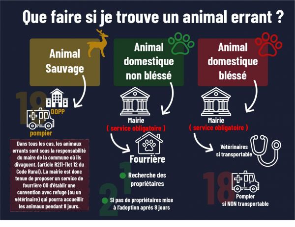 Informations pratiques
